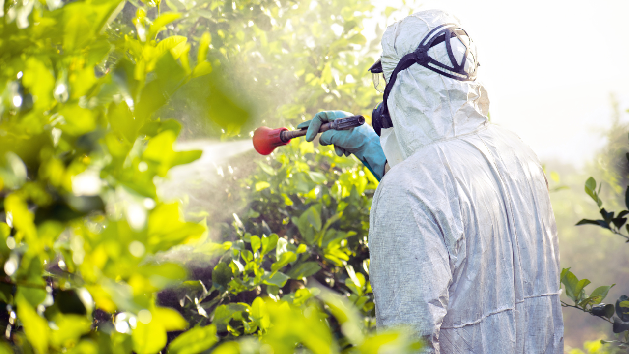 Toxicologia - HupData